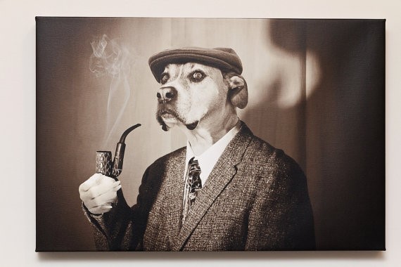 Magic Hound Sniffs Out Trouble